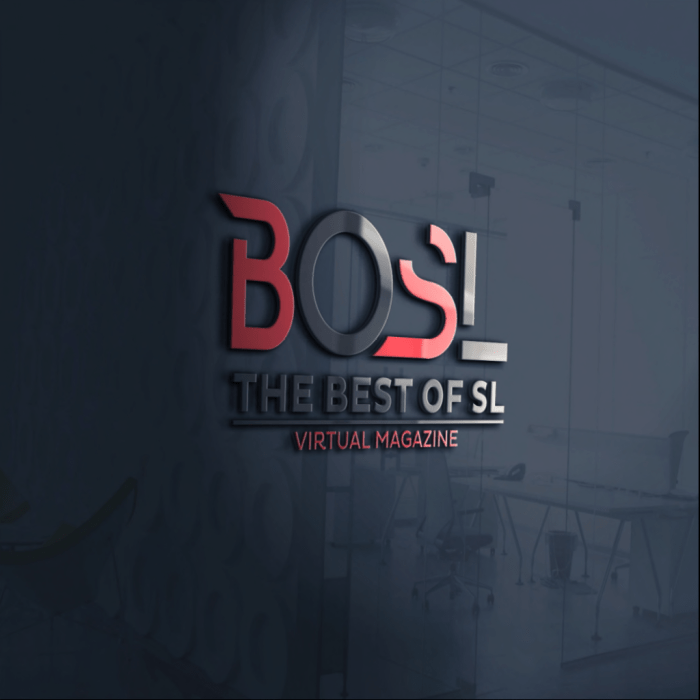 Brat's Corner – A Second Life Models Perspective